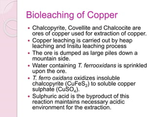 Bioleaching | PPTX