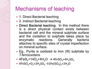 Bioleaching | PPT
