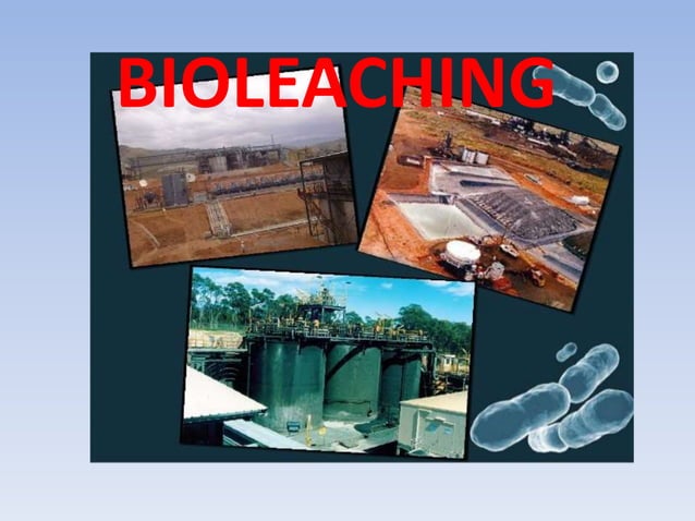 Bioleaching | PPTX | Chemistry | Science