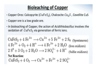 Bioleaching | PPTX