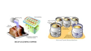 Bioleaching | PPTX