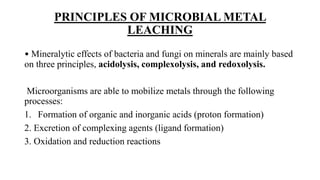 Bioleaching | PPTX