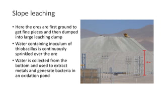 bioleaching.pptx