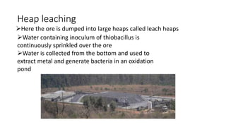 bioleaching.pptx
