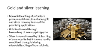 bioleaching.pptx