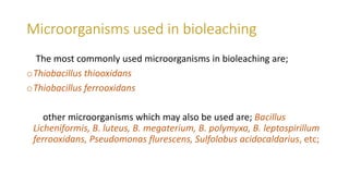 bioleaching.pptx