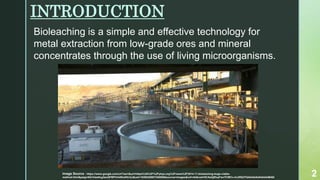 Bioleaching.pptx