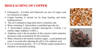 bioleaching | PPTX
