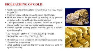 bioleaching | PPTX
