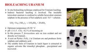 bioleaching | PPTX