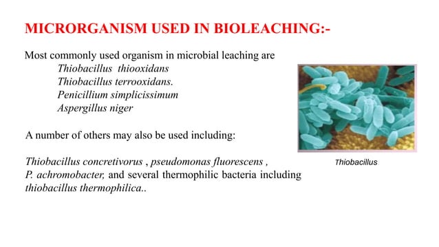 bioleaching | PPTX