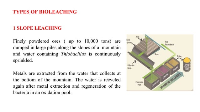 bioleaching | PPTX