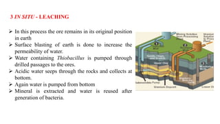 bioleaching | PPTX