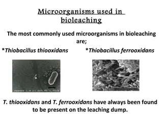 Bioleaching its technique and applications | PPT