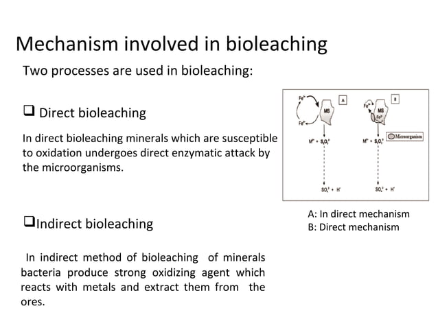 Bioleaching its technique and applications | PPT