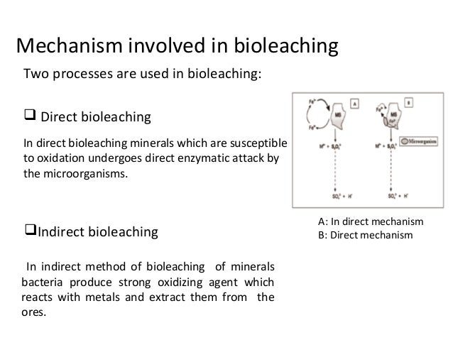 Bioleaching its technique and applications