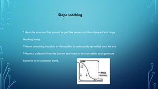 Bioleaching Process -Marine Microbiology | PPTX