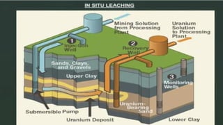 Bioleaching Process -Marine Microbiology | PPTX