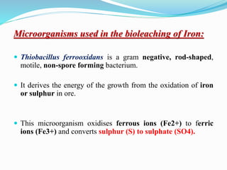Bioleaching of copper, gold and uranium | PPTX