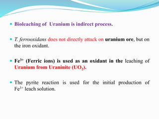 Bioleaching of copper, gold and uranium | PPTX