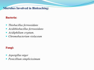 Bioleaching of copper, gold and uranium | PPTX