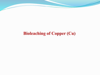 Bioleaching of copper, gold and uranium | PPTX