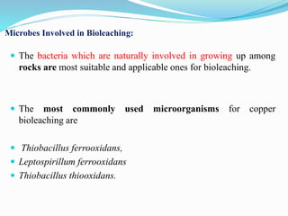 Bioleaching of copper, gold and uranium | PPTX