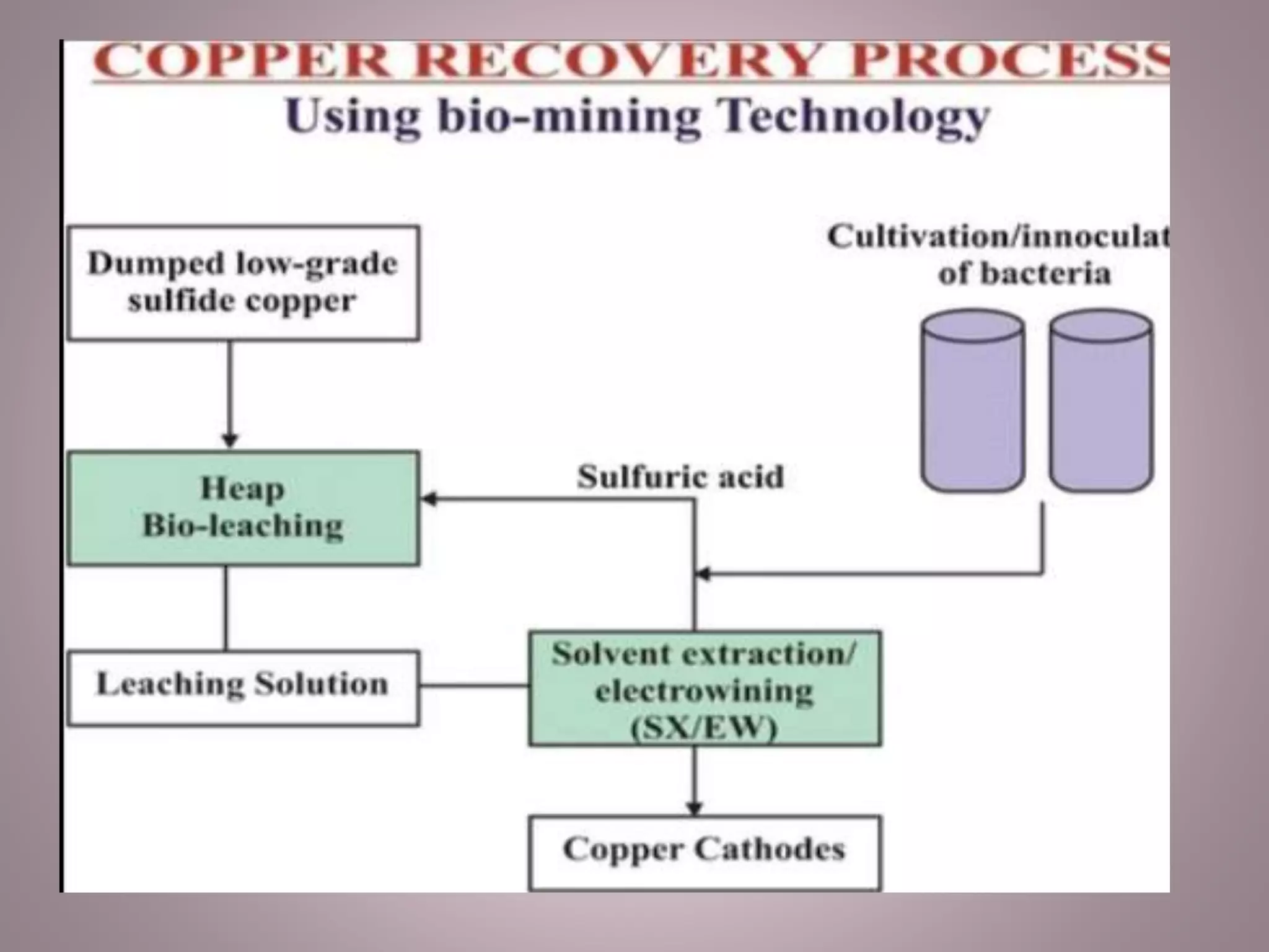 Bioleaching Of Iron Copper Gold Uranium Ppt