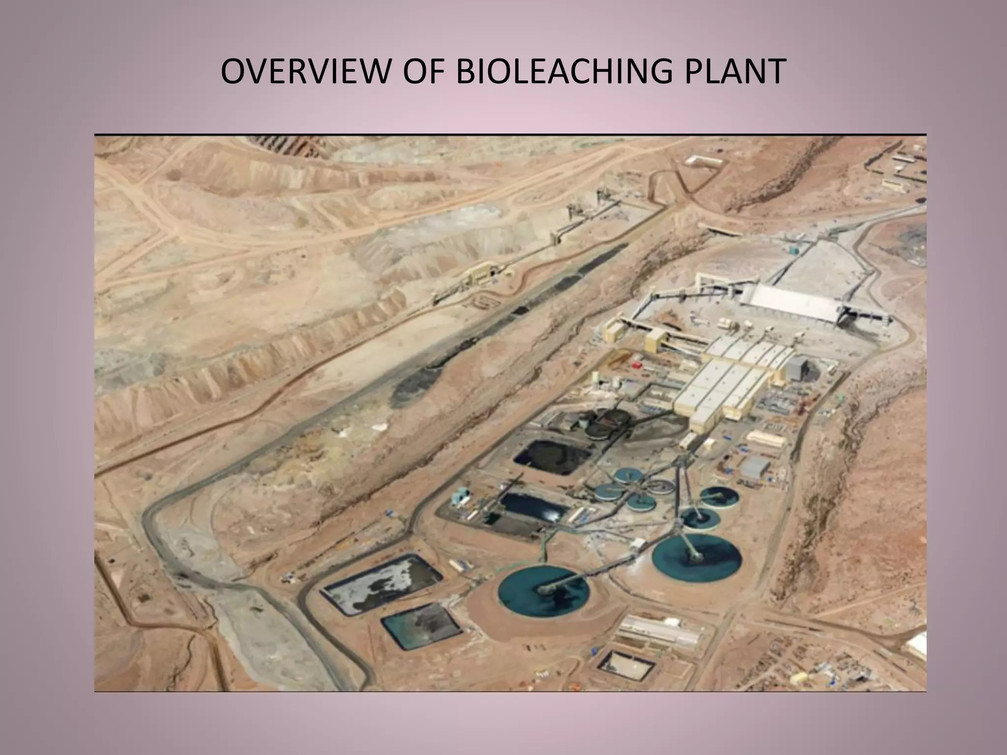 Bioleaching of iron, copper, gold. uranium | PPTX | Geology | Science