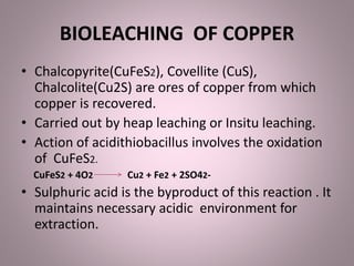 Bioleaching of iron, copper, gold. uranium | PPTX