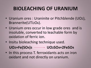 Bioleaching of iron, copper, gold. uranium | PPTX