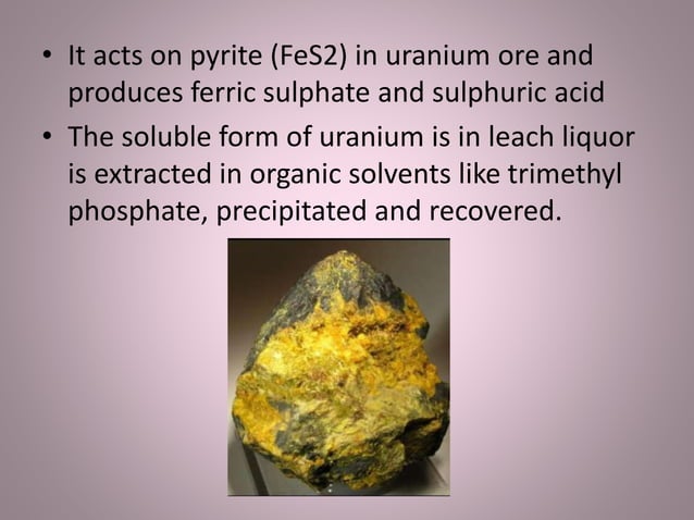 Bioleaching of iron, copper, gold. uranium | PPTX | Geology | Science