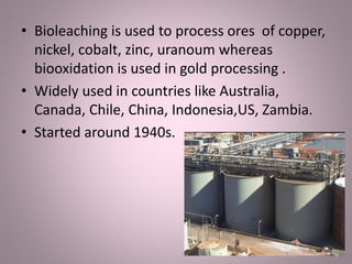 Bioleaching of iron, copper, gold. uranium | PPTX