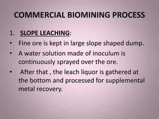 Bioleaching of iron, copper, gold. uranium | PPTX