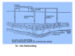 Bio leaching or biomining | PPTX