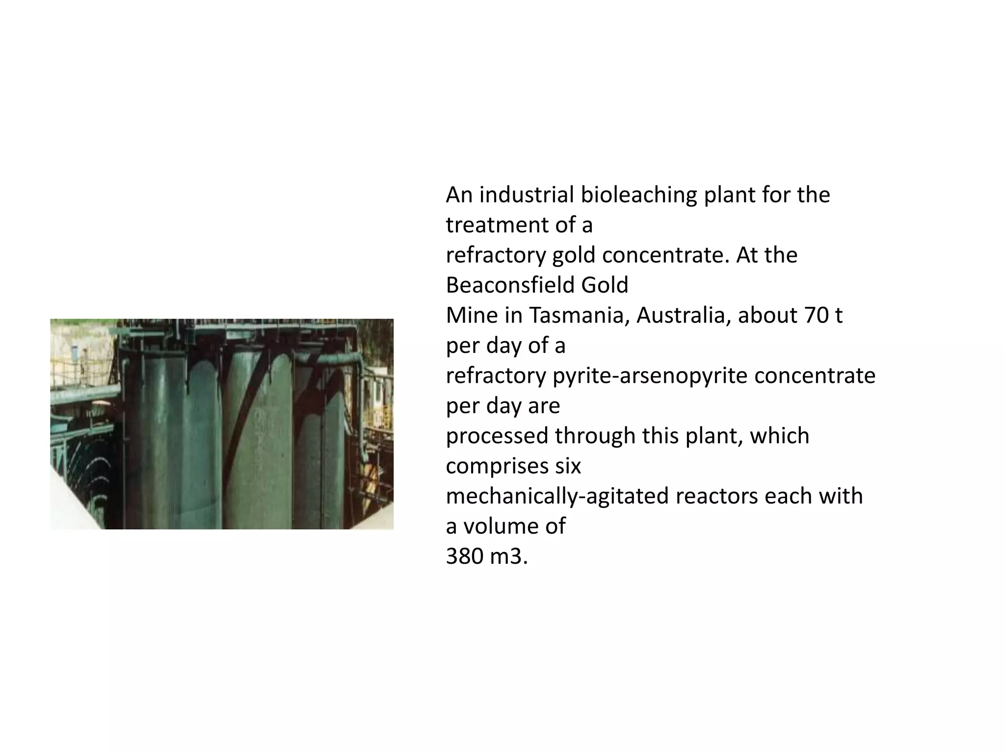 Bioleaching ppt | PPTX