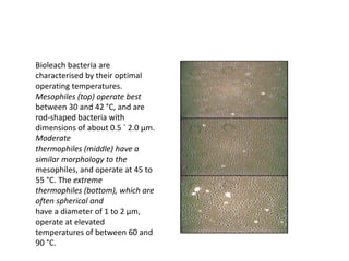 Bioleaching ppt | PPTX | Chemistry | Science
