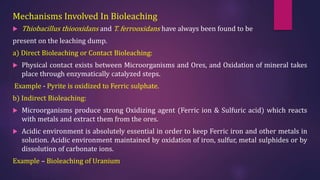 Bioleaching ss.pptx