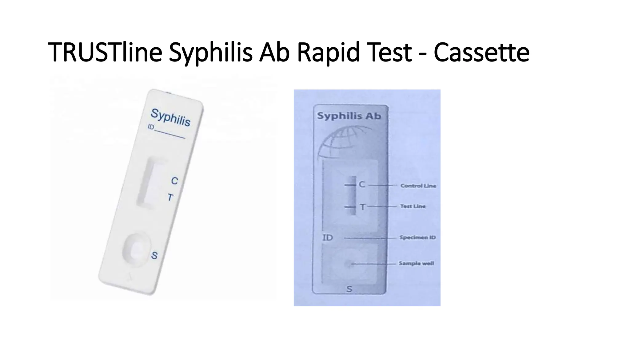 Bioline lab PRESENTATION.pptx das das . | PPT