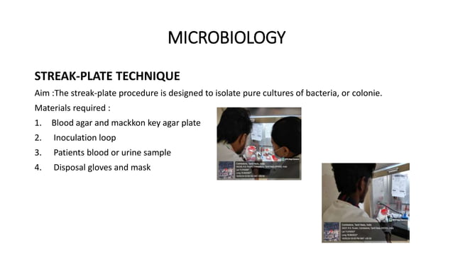 Bioline lab PRESENTATION.pptx das das . | PPT