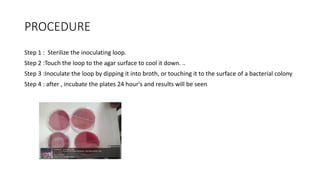 Bioline lab PRESENTATION.pptx das das . | PPT