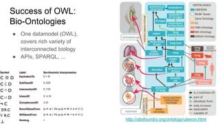 Introduction to the BioLink datamodel | PPTX | Databases | Computer Software and Applications