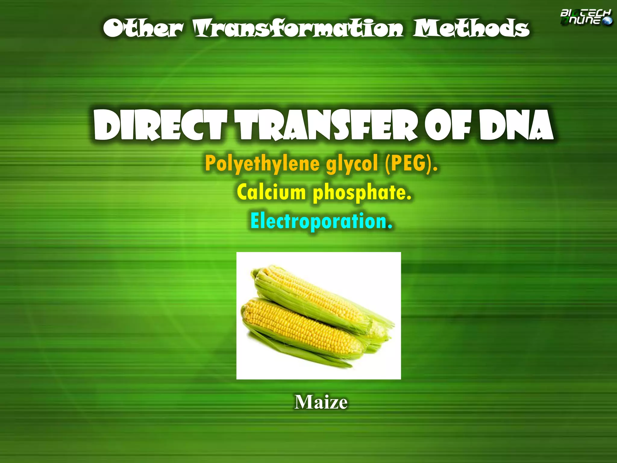 The Biolistic Method | PDF