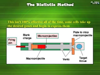The Biolistic Method | PDF