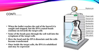 Biolistics | PPTX
