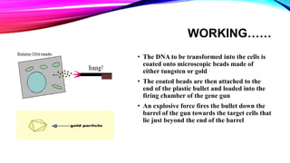 Biolistics | PPTX