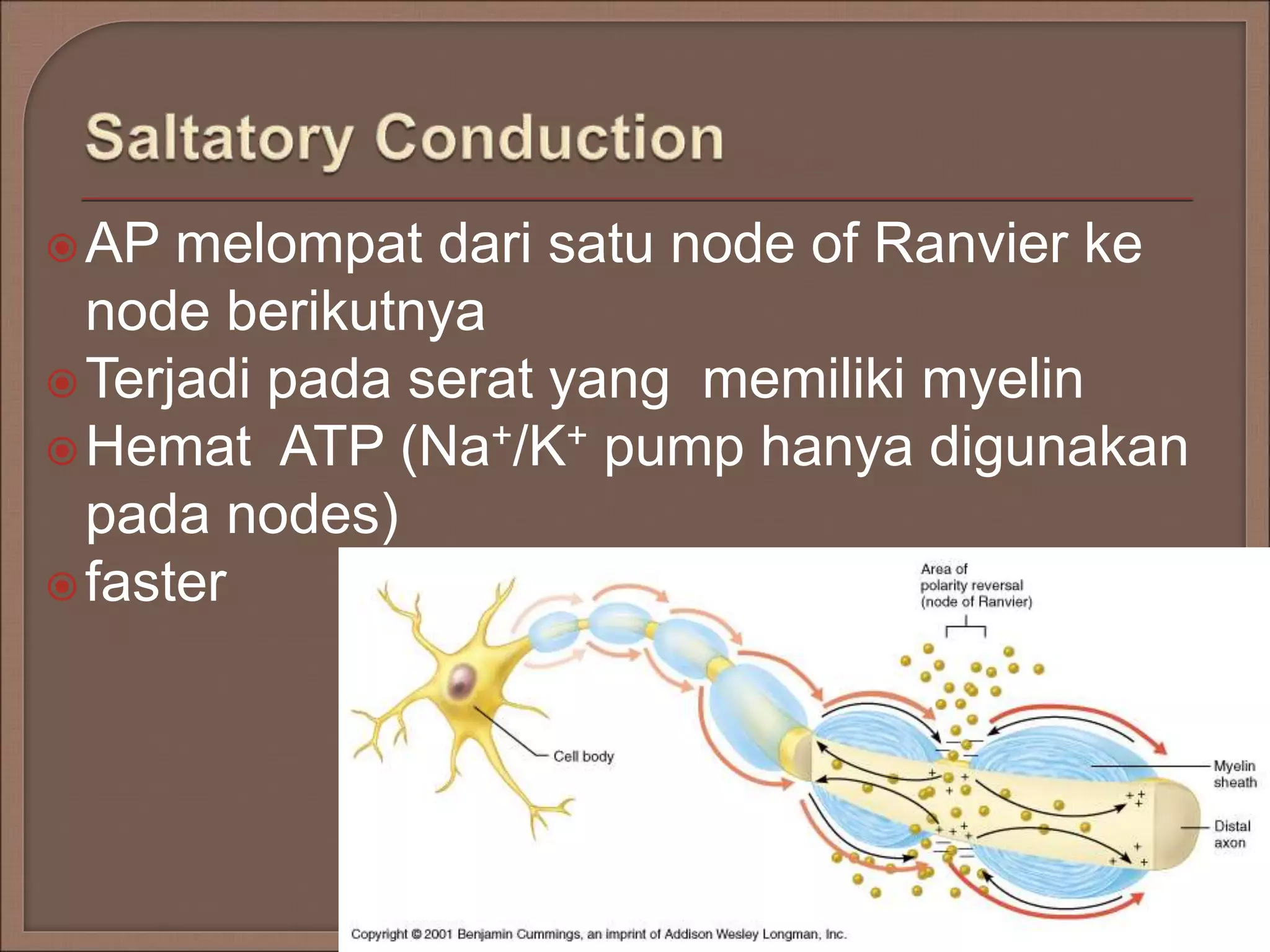 Biolistrik.ppt