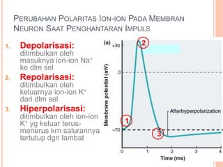 biolistrik keperawatan.ppt