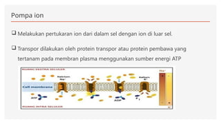 Biolistrik Pada sel Tubuh Makhluk hidup.pptx
