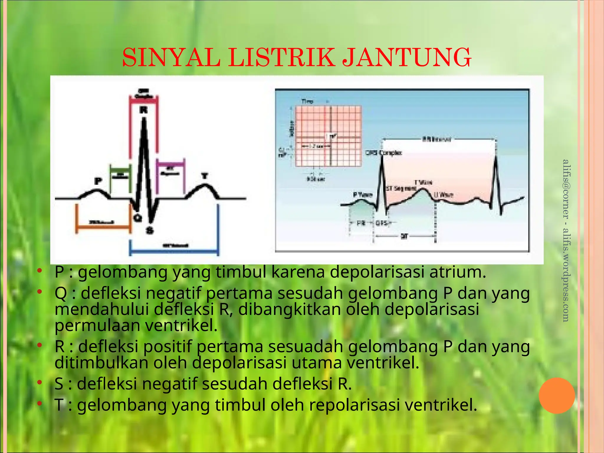 PPT Biolistrik mata kuliah biofisika semester 5 | PPT